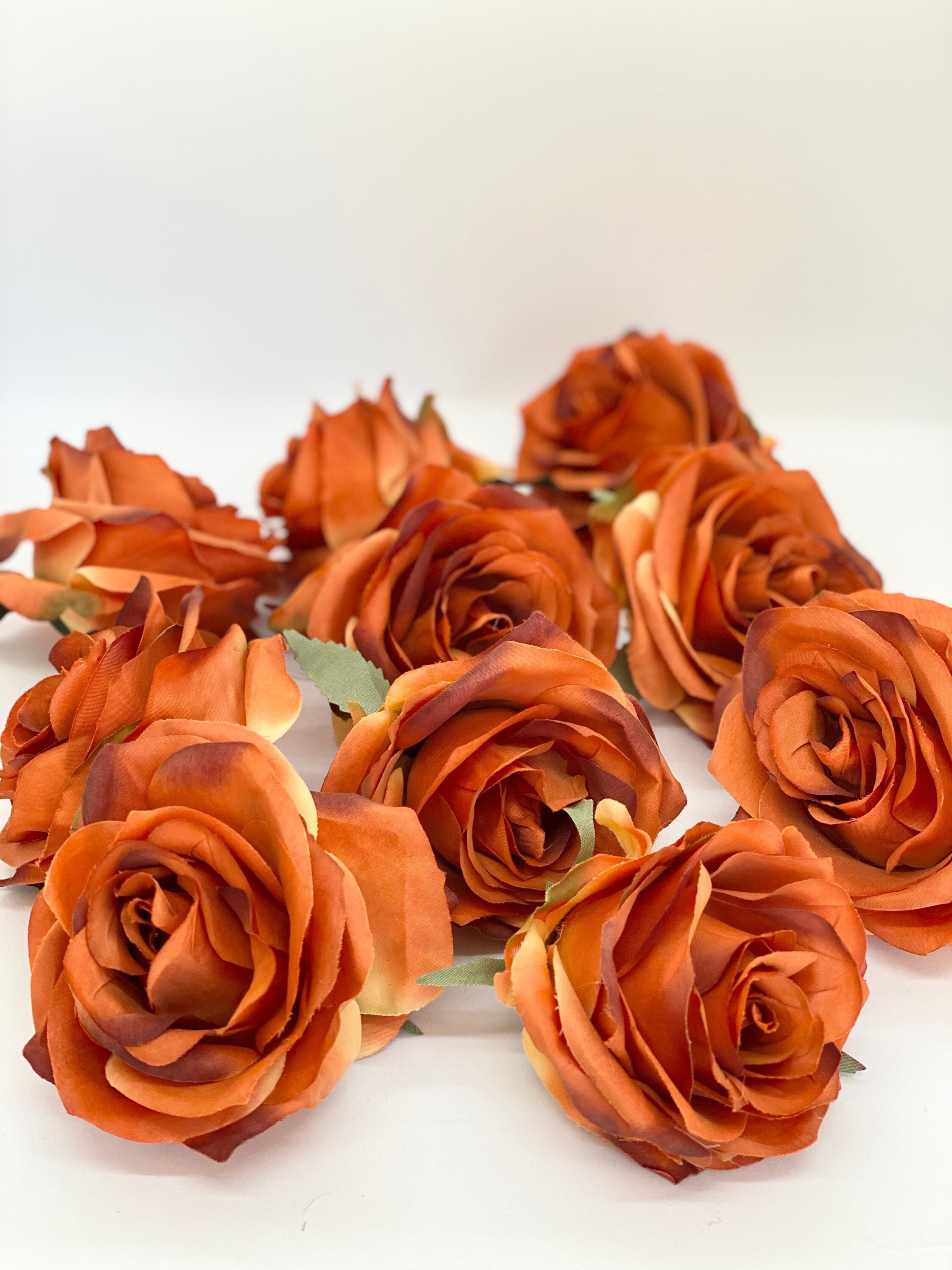 Rust Colored Roses