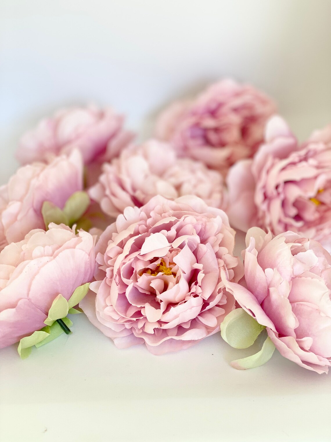 5 Light Pink Peony Two Tone Peony Wedding Flower Fluffy | Etsy
