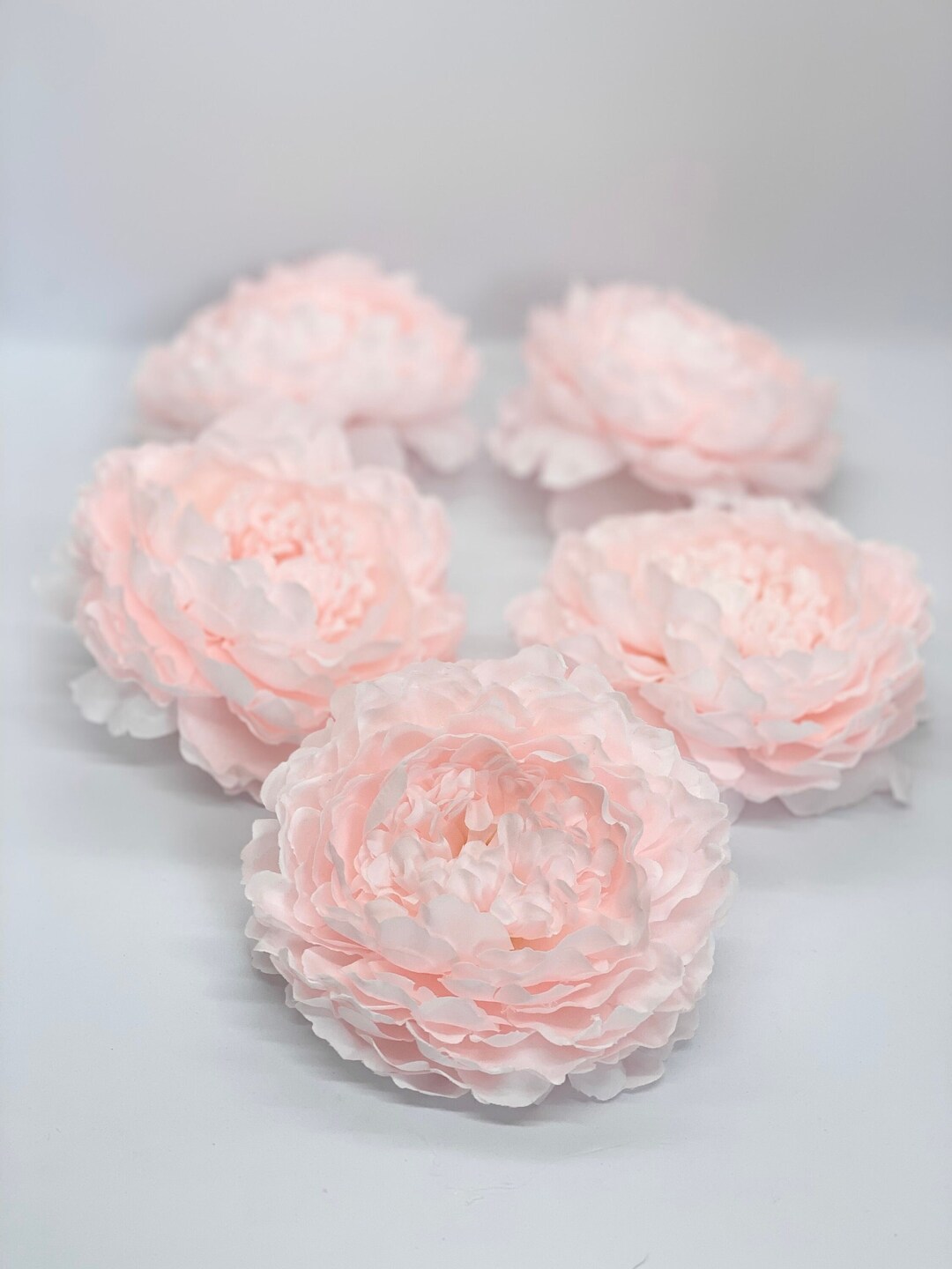 4.5 Blush Peony Blush Pink Peony Wedding Flower Fluffy Peony Flower ...