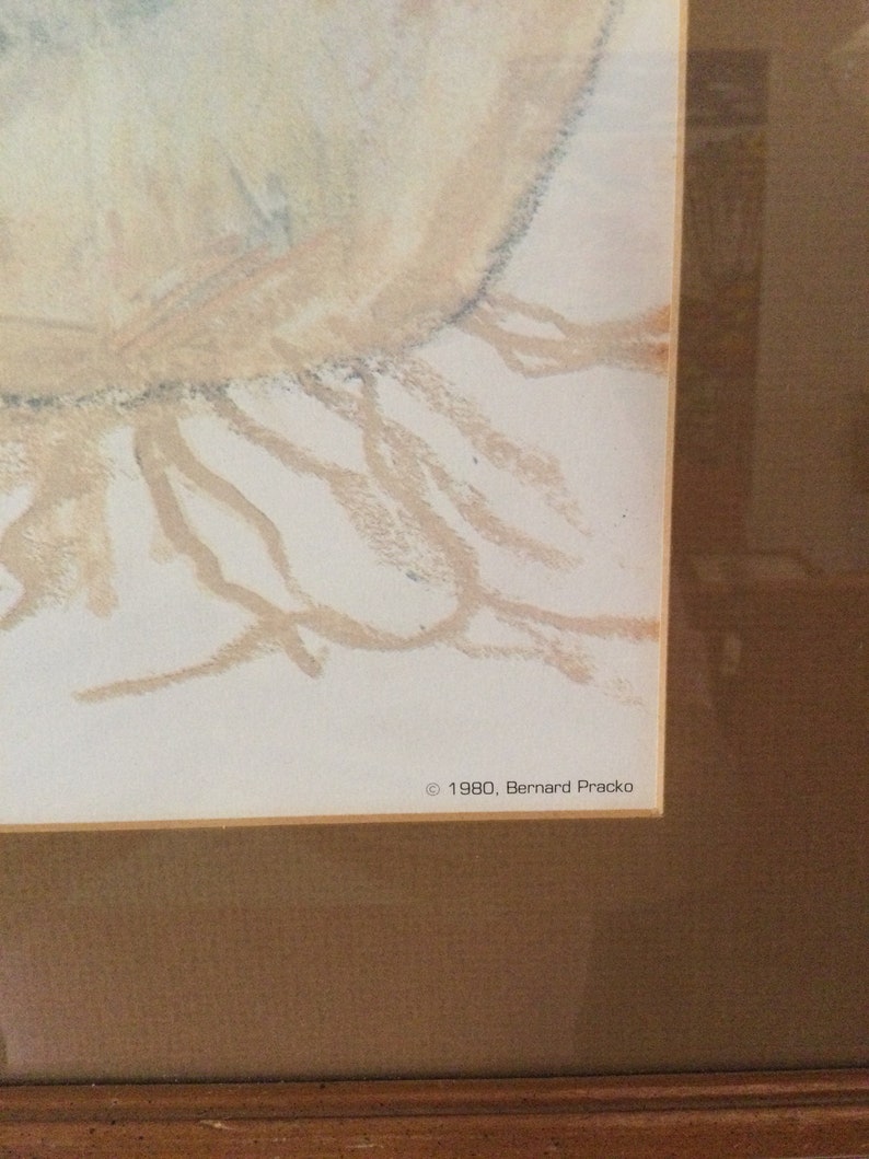 A R. C. Gorman Early Lithograph Print angeline's - Etsy