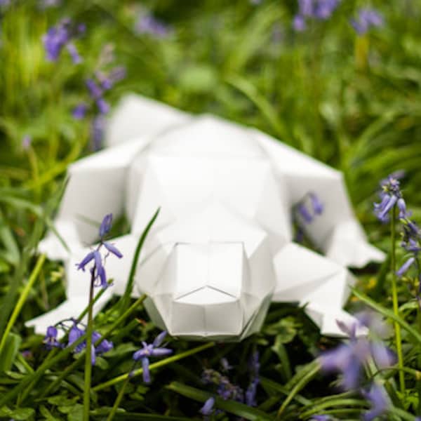 Pet Pteranodon, 3d Papercraft Dinosaur Template. Printable Pdf. Boys ...