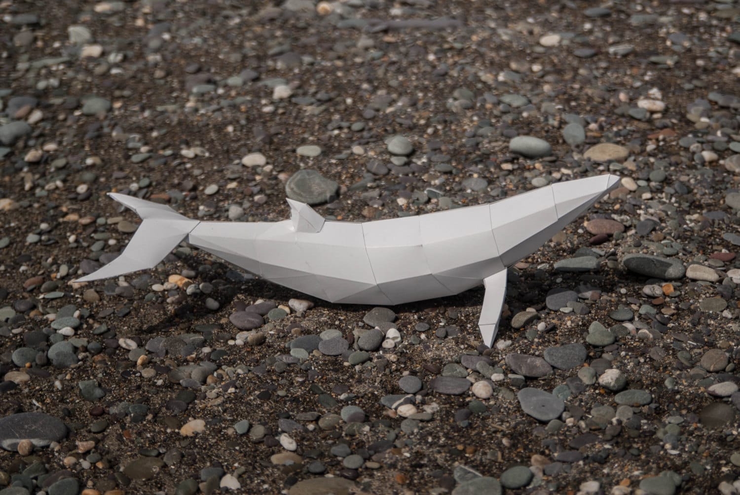 Papercraft Whale Sale. Printable Pdf Template Sale - Etsy