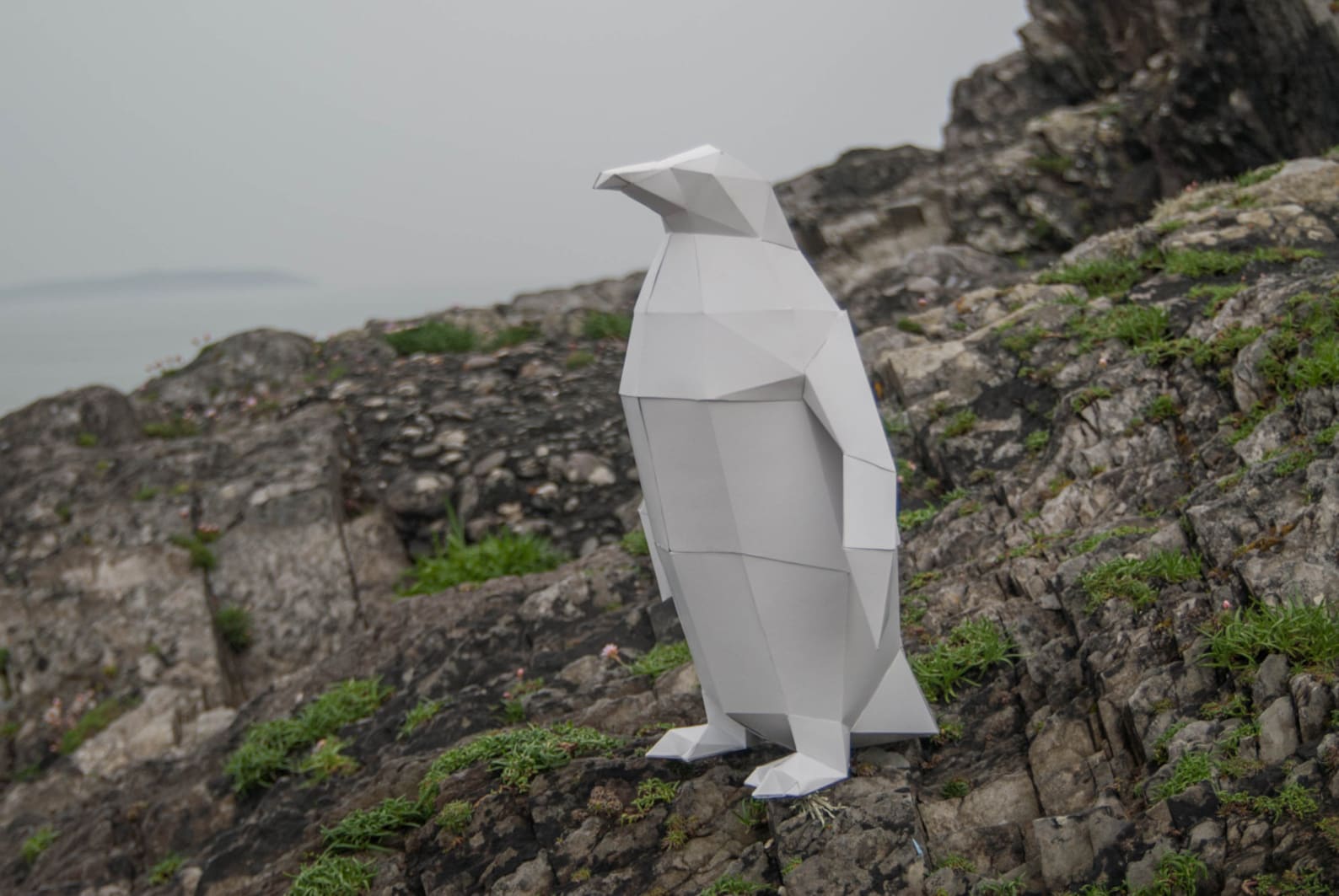 DIY Paper Pet Penguin, 3d Papercraft Template - Etsy