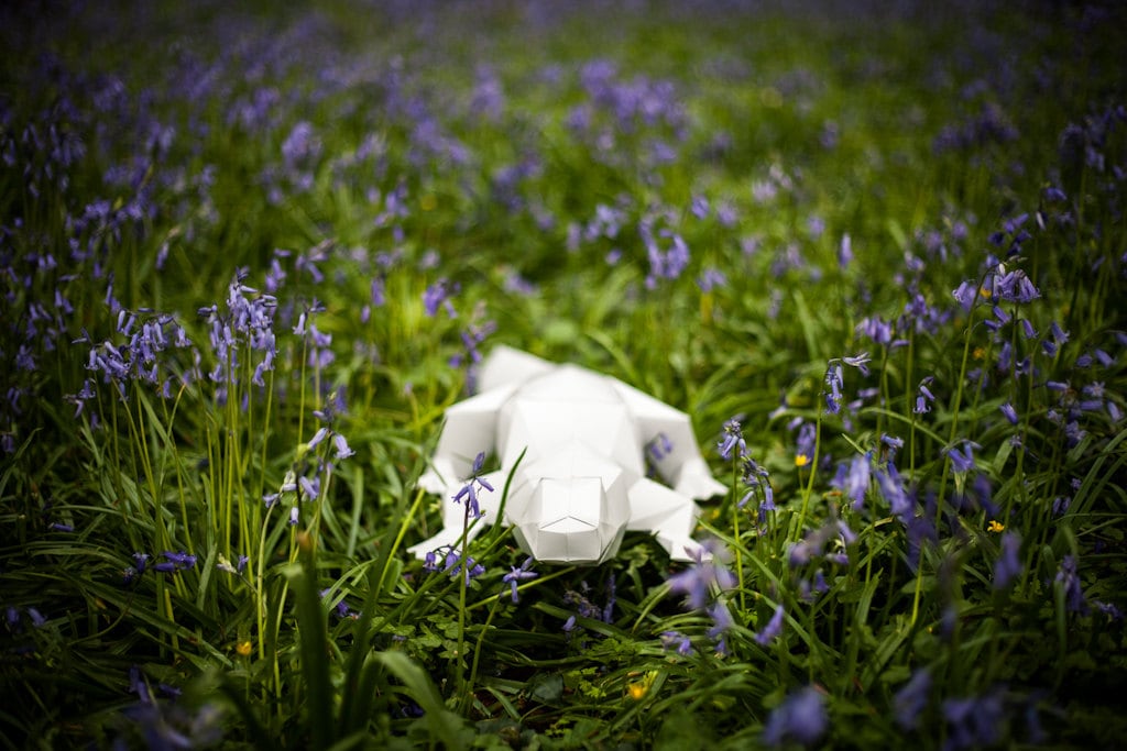 Paper Crocodile , Printable Papercraft Template, Instant Download - Etsy