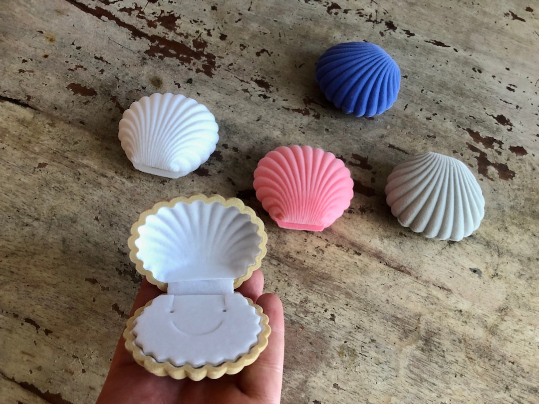 Sea Shell Jewelry Box, Velvet Gift Box, Ring Box, Jewelry Box, Treasure ...