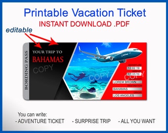 Custom plane ticket | Etsy