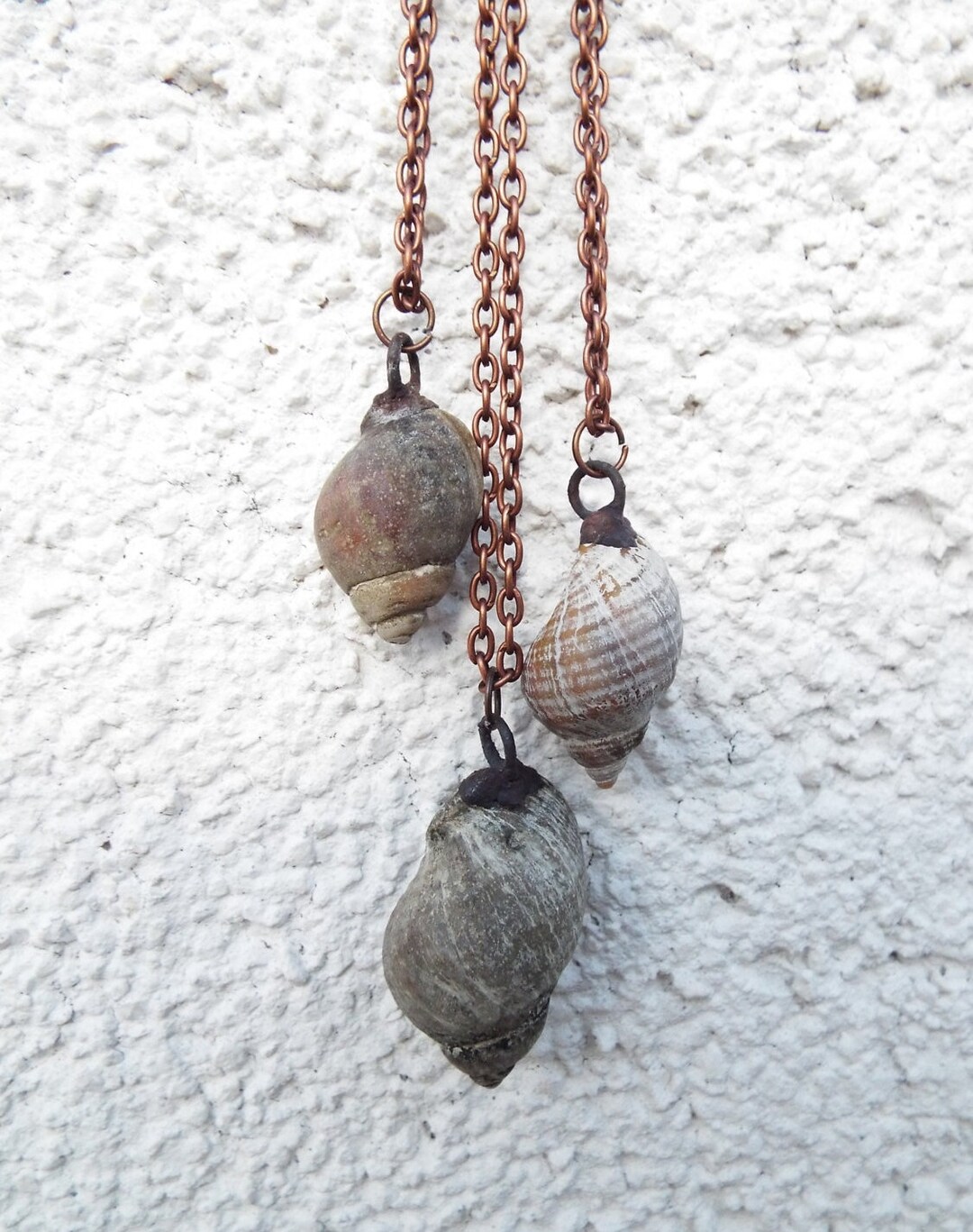 Shell Necklace, Necklace, Shells, Snails, Beach Necklace ...