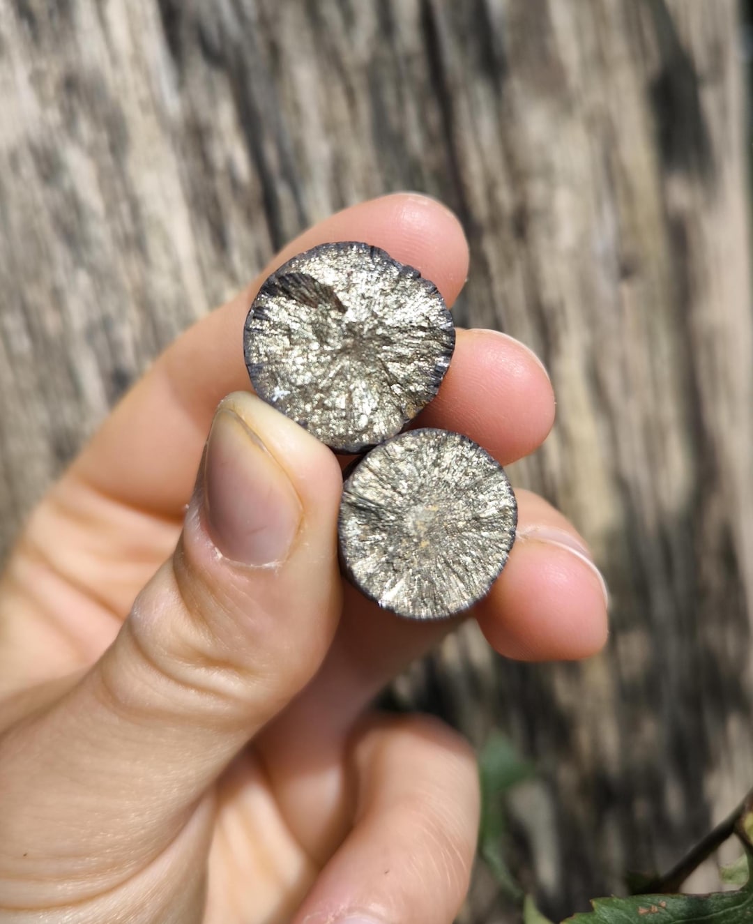 Pyrite Healing Stone • Pyrite Sun (fool's Gold) • Mica Crystal ...