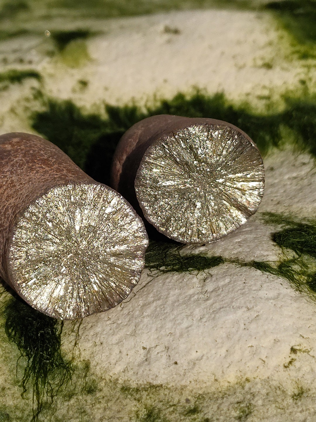 Pyrite Sun • Pyrite Sun Mineral • Fool's Gold • Mica Healing Stone ...