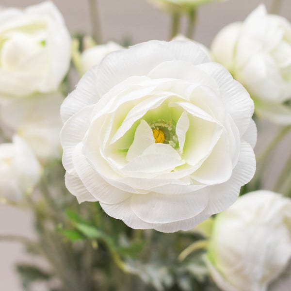 Silk White Ranunculus - Etsy