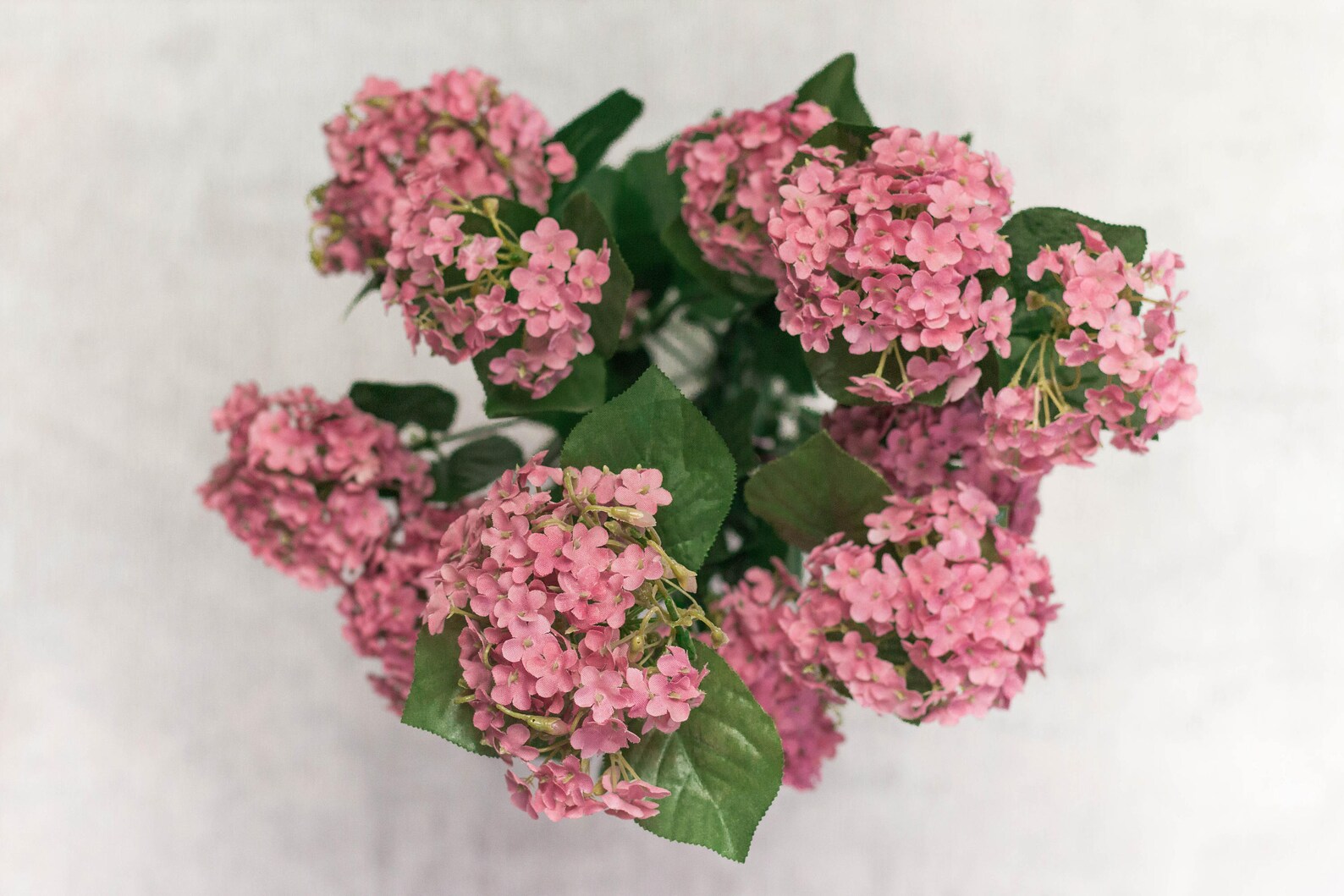 2/3/6/12 Pcs 22 Mauve Pink Snowball Flower Bush 11 - Etsy