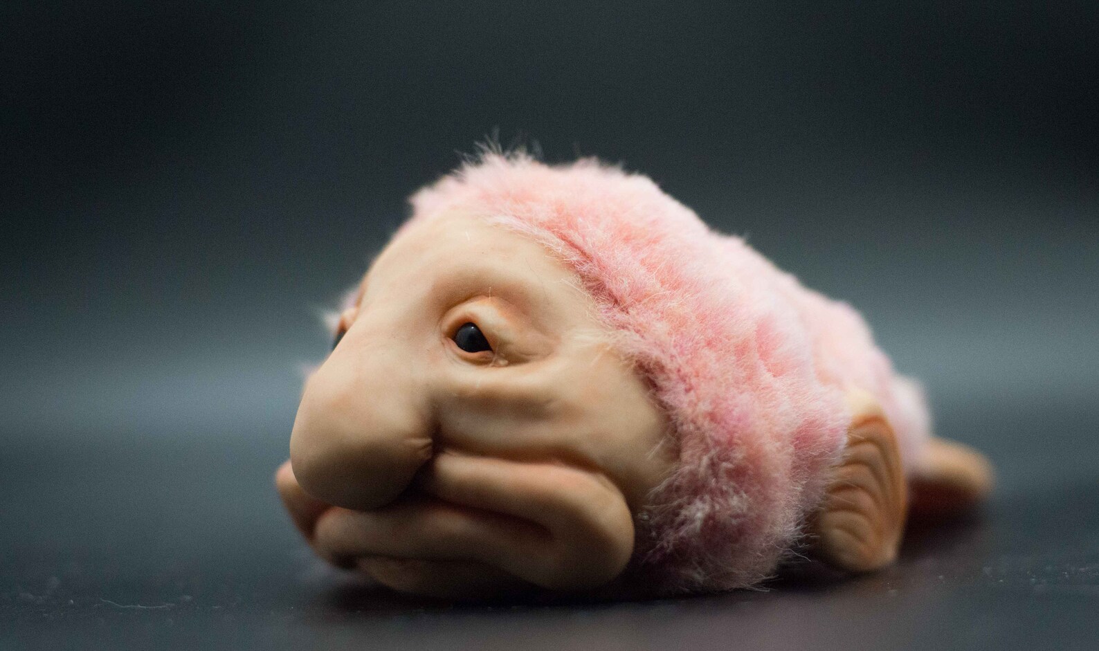 Blobfish toy Under Water Animals Blobfish Ocean gift Blobfish | Etsy