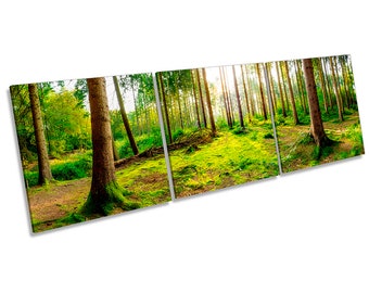 Triple Forest Canvas - Etsy