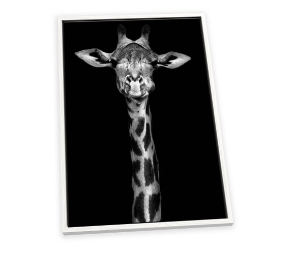Giraffe Face Black & White CANVAS FLOATER FRAME Wall Art | Etsy