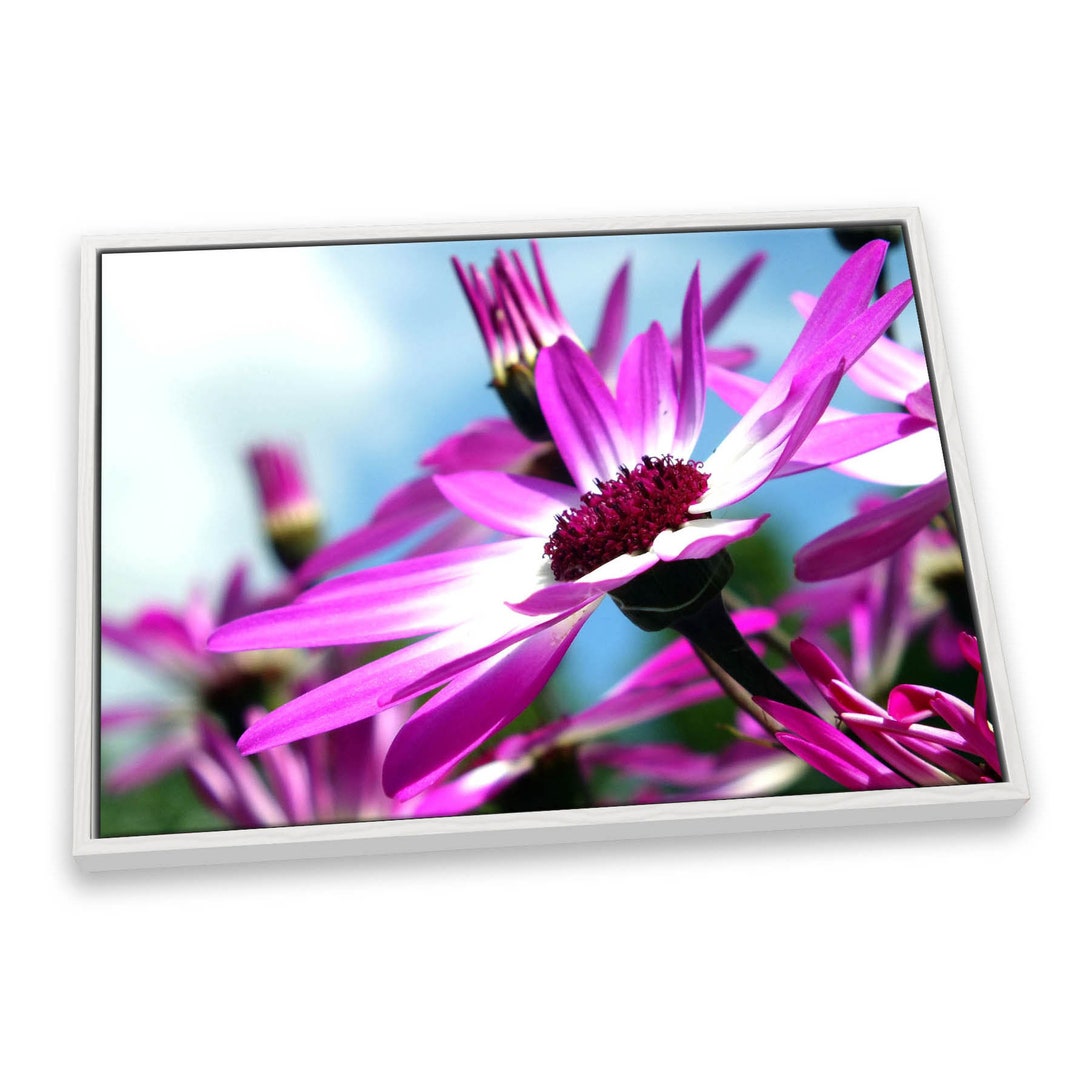 Wild Flowers Floral Purple CANVAS FLOATER FRAME Wall Art Print Picture ...