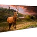 Deer Stag Highlands Sunset Picture Panoramic CANVAS WALL ART Print - Etsy