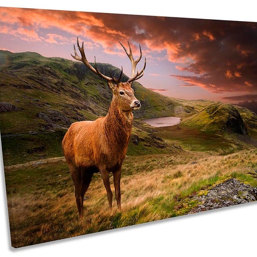 Stag Deer Landscape Highlands Panoramic CANVAS WALL ARTWORK - Etsy UK
