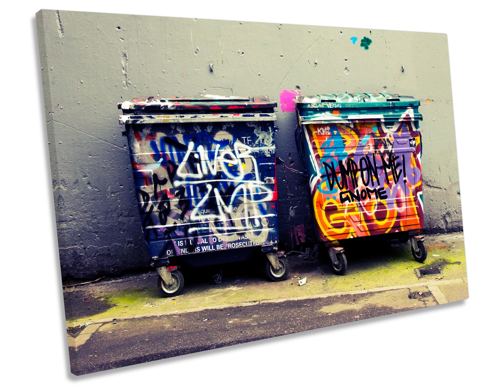 Graffiti Trash Bins Urban CANVAS WALL ART Framed Print - Etsy
