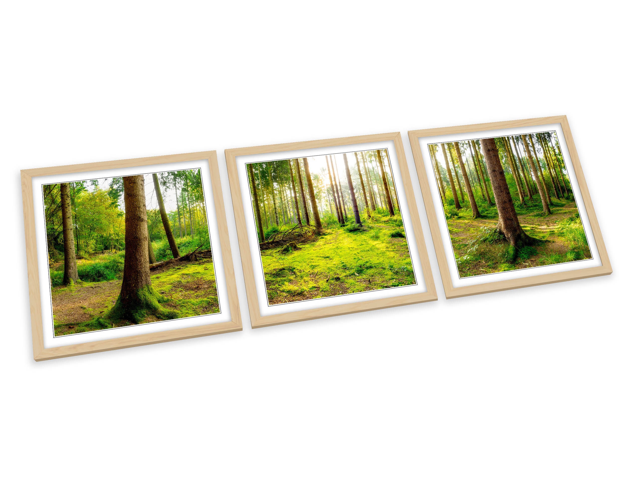 Forest Green Sunset Trees FRAMED ART PRINTS Set Picture Poster | Etsy