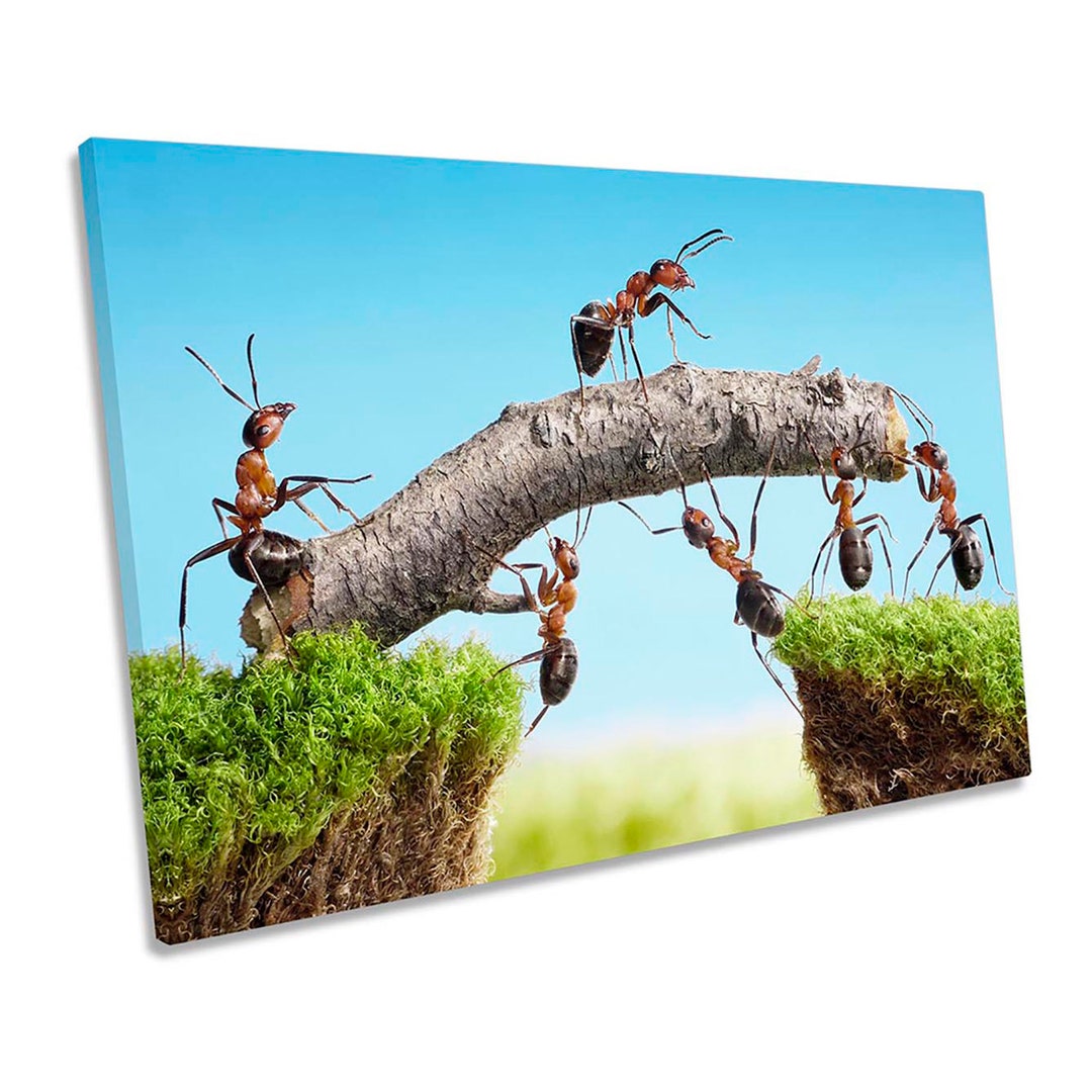 Ants Building Bridge Teamwork Picture CANVAS WALL ART Print - Etsy