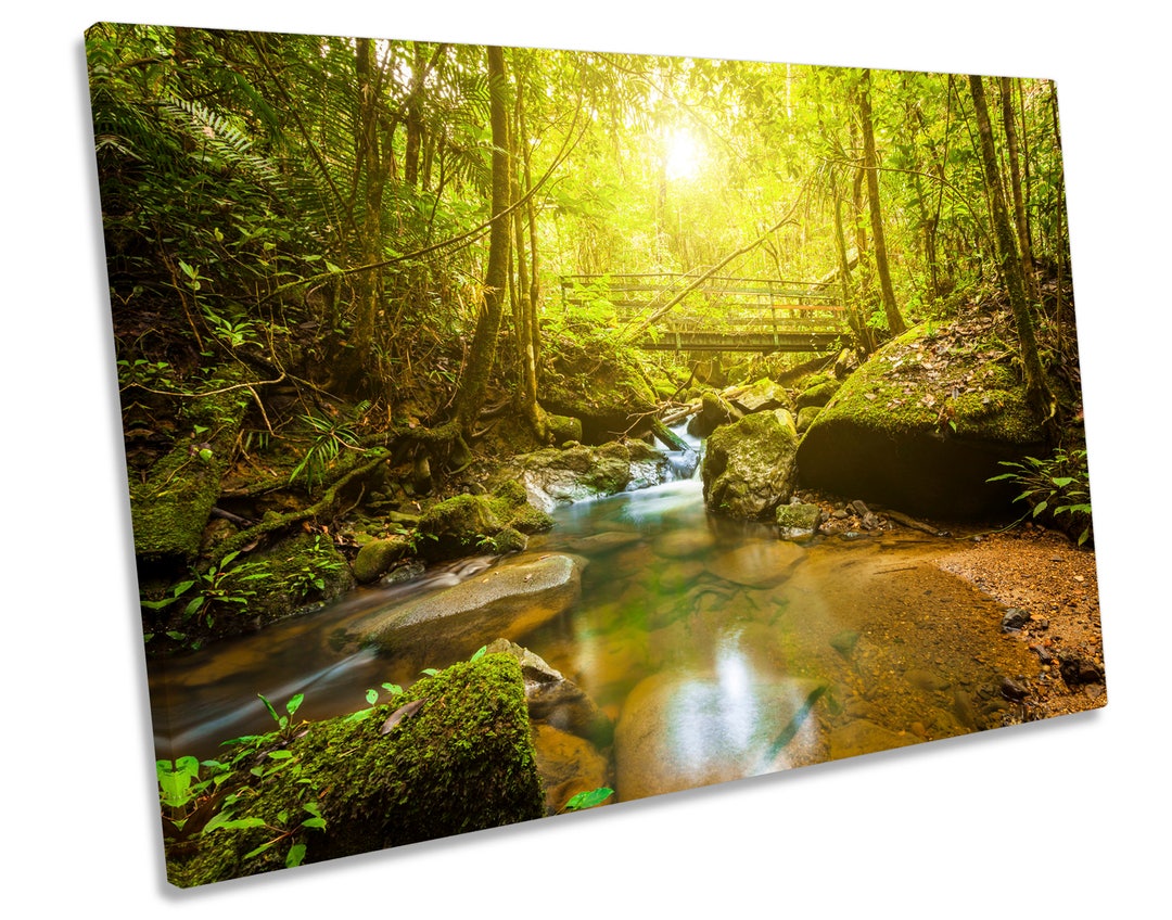 Green Forest River Bridge CANVAS WALL ART Framed Picture Print - Etsy