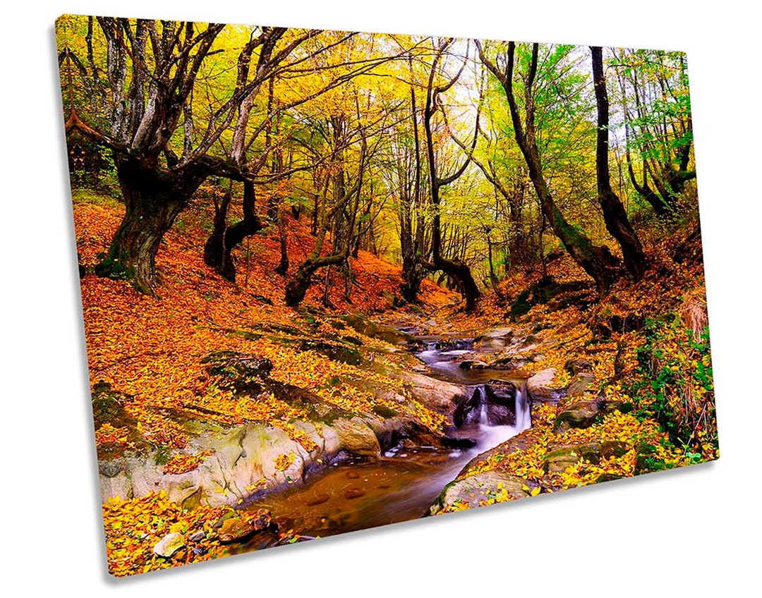 Autumn Forest Woodland CANVAS WALL ART Picture Print - Etsy