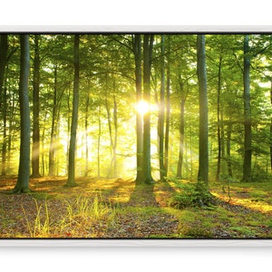Sunlight Forest Trees Sunset Green CANVAS FLOATER FRAME Wall Art Print ...