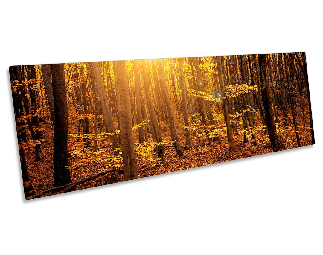 Autumn Forest Sunset Trees CANVAS WALL ART Pano Framed Print - Etsy