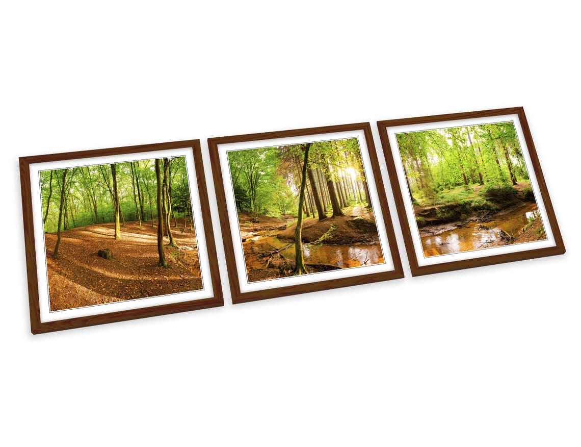 Forest Woodland Stream Green FRAMED ART PRINTS Set Picture - Etsy