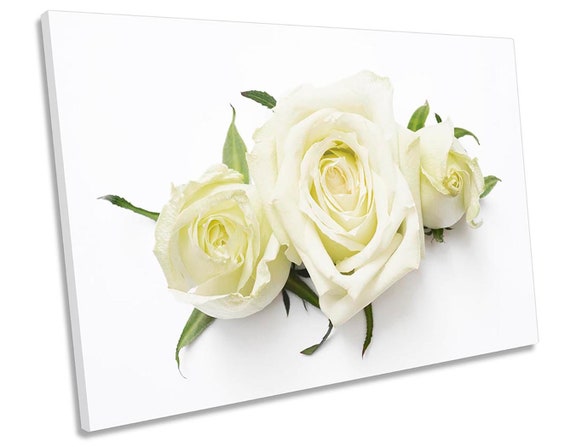 Cream Rose Flowers Floral CANVAS WALL ART Picture Print - Etsy