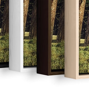 Dinosaurs T. Rex CANVAS FLOATER FRAME Wall Art Print Picture - Etsy