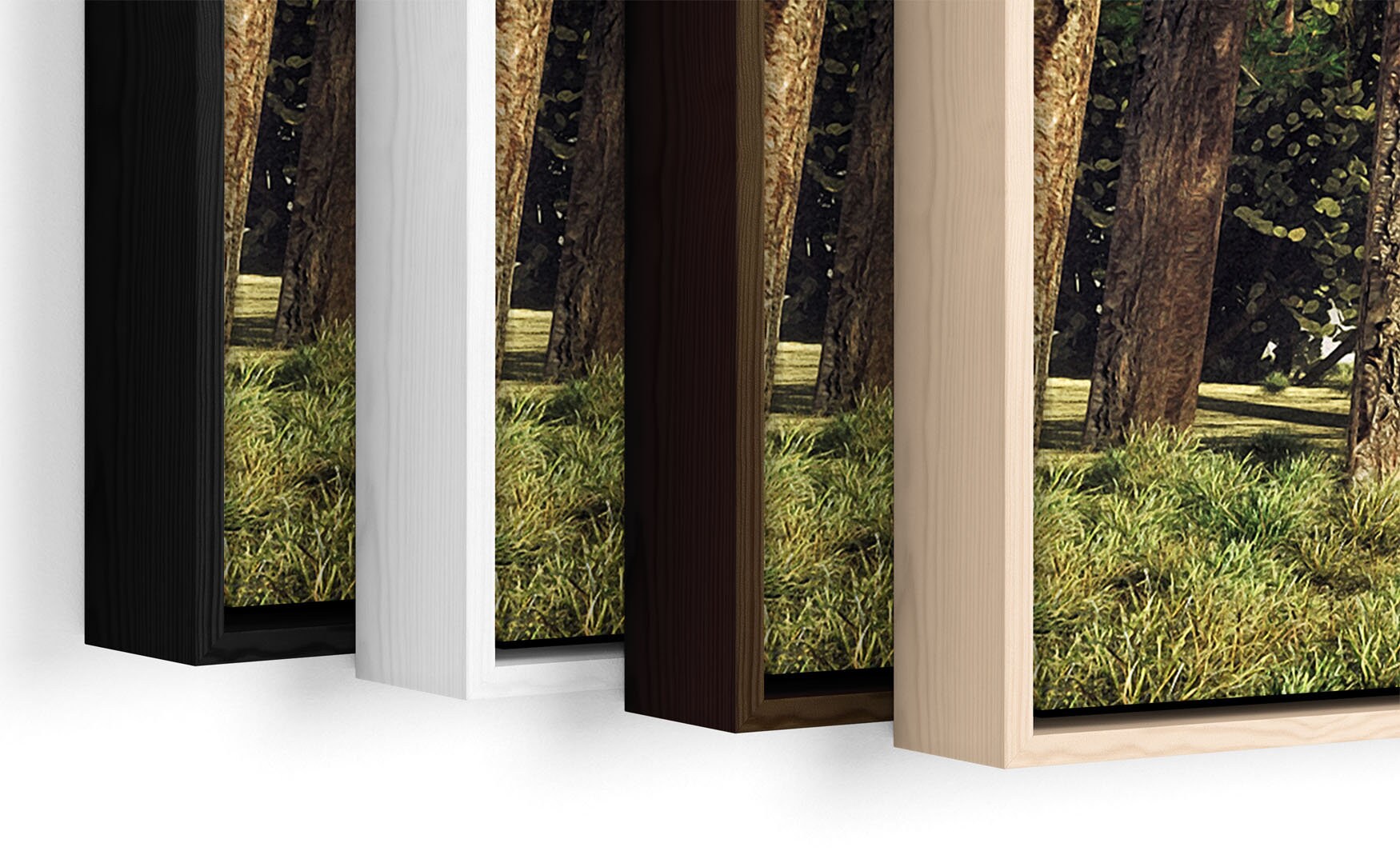 Dinosaurs T. Rex CANVAS FLOATER FRAME Wall Art Print Picture | Etsy