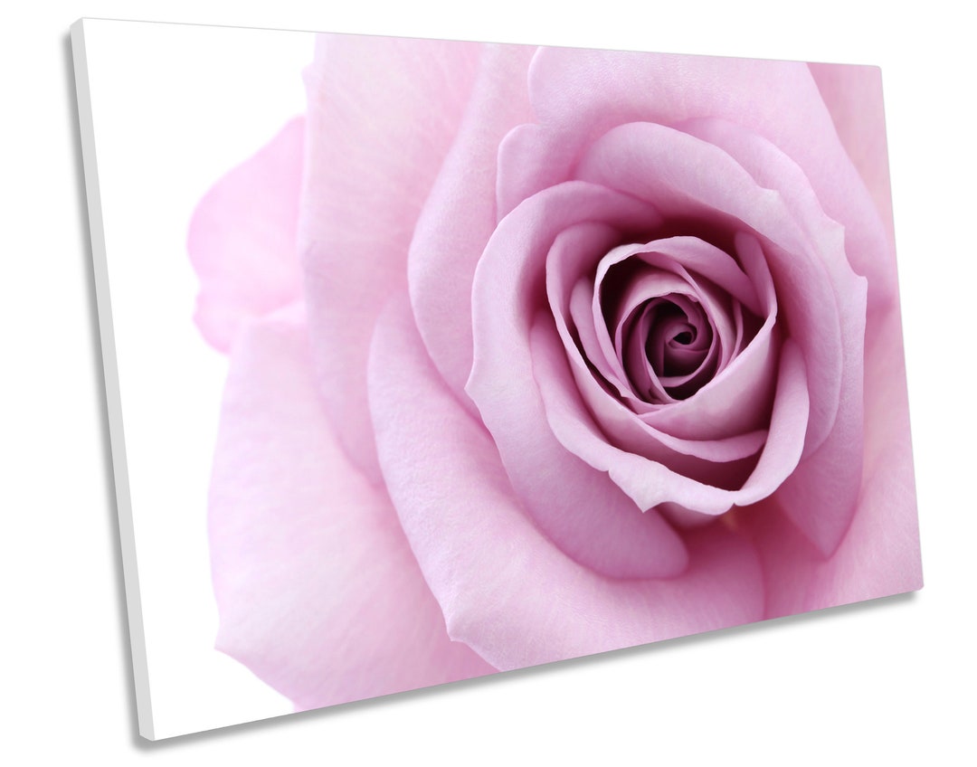 Plum Pink Rose Flower Picture CANVAS WALL ART Print - Etsy