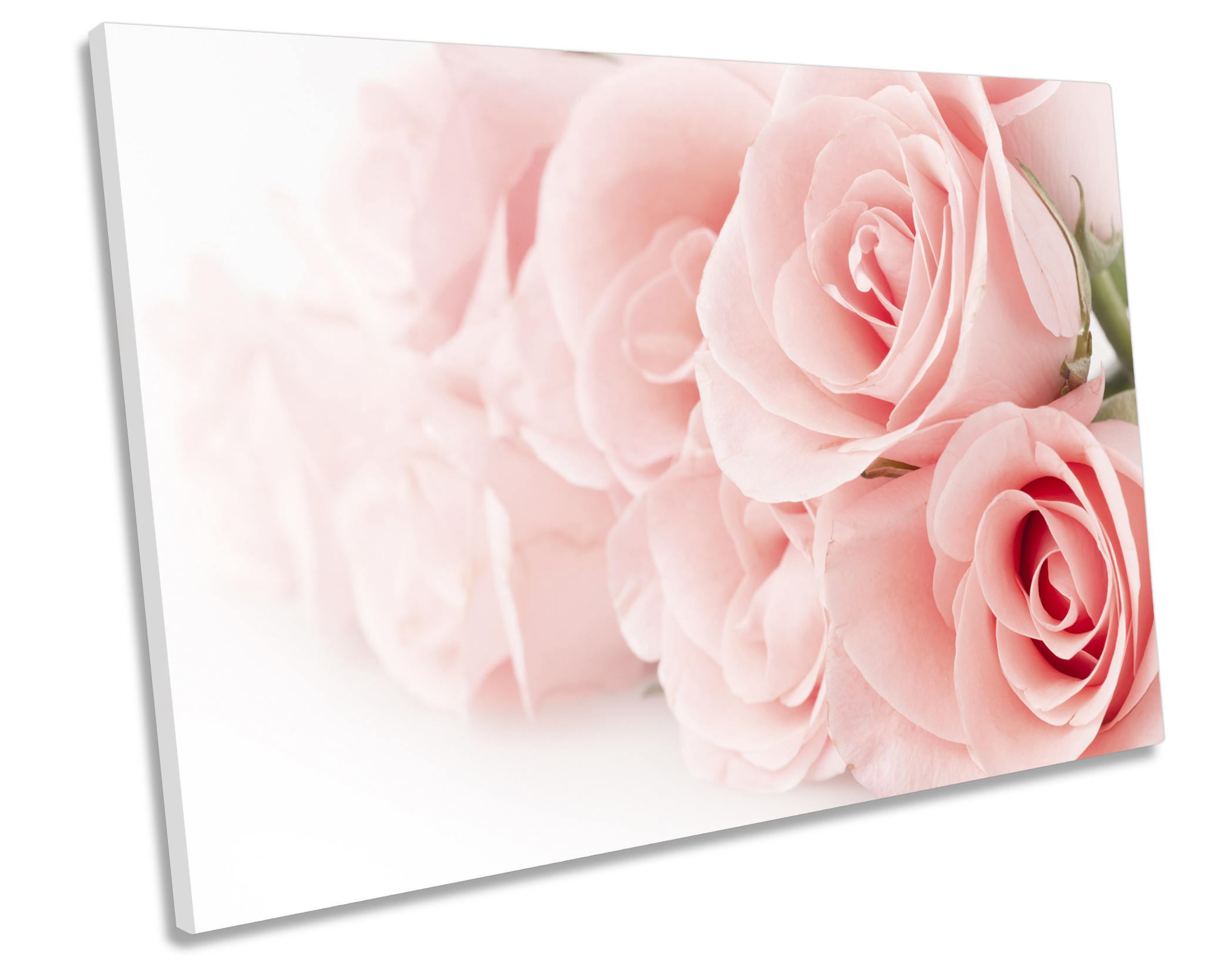 Flowers Rose Pink Floral CANVAS WALL ART Framed Picture Print - Etsy