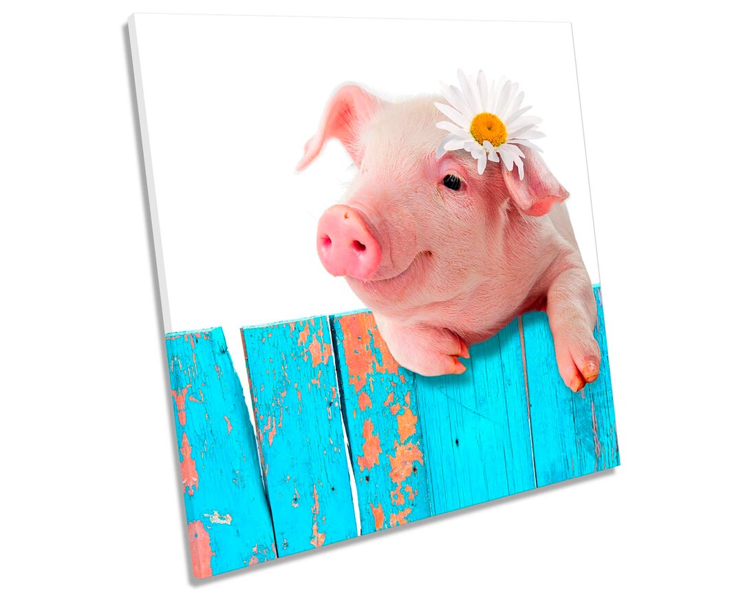 Cute Pig Daisy Flower Picture CANVAS WALL ART Square Print Pink - Etsy
