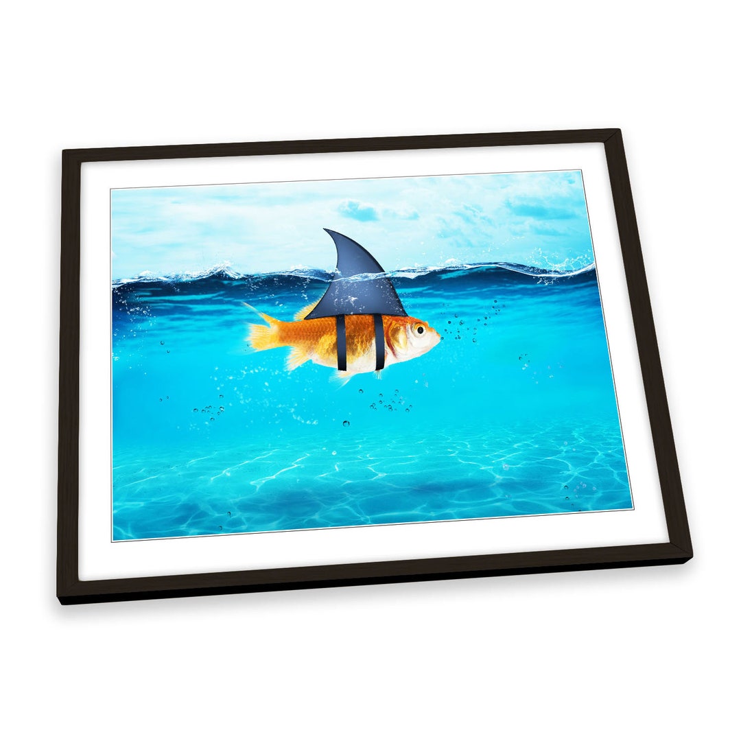 Goldfish Shark Fin Bathroom Blue FRAMED ART PRINT Picture Poster ...
