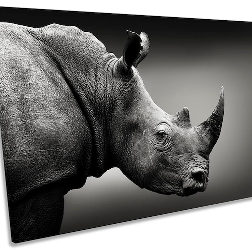 Rhinoceros Canvas Art Rhino Wall Decor Rhino Print Rhino - Etsy