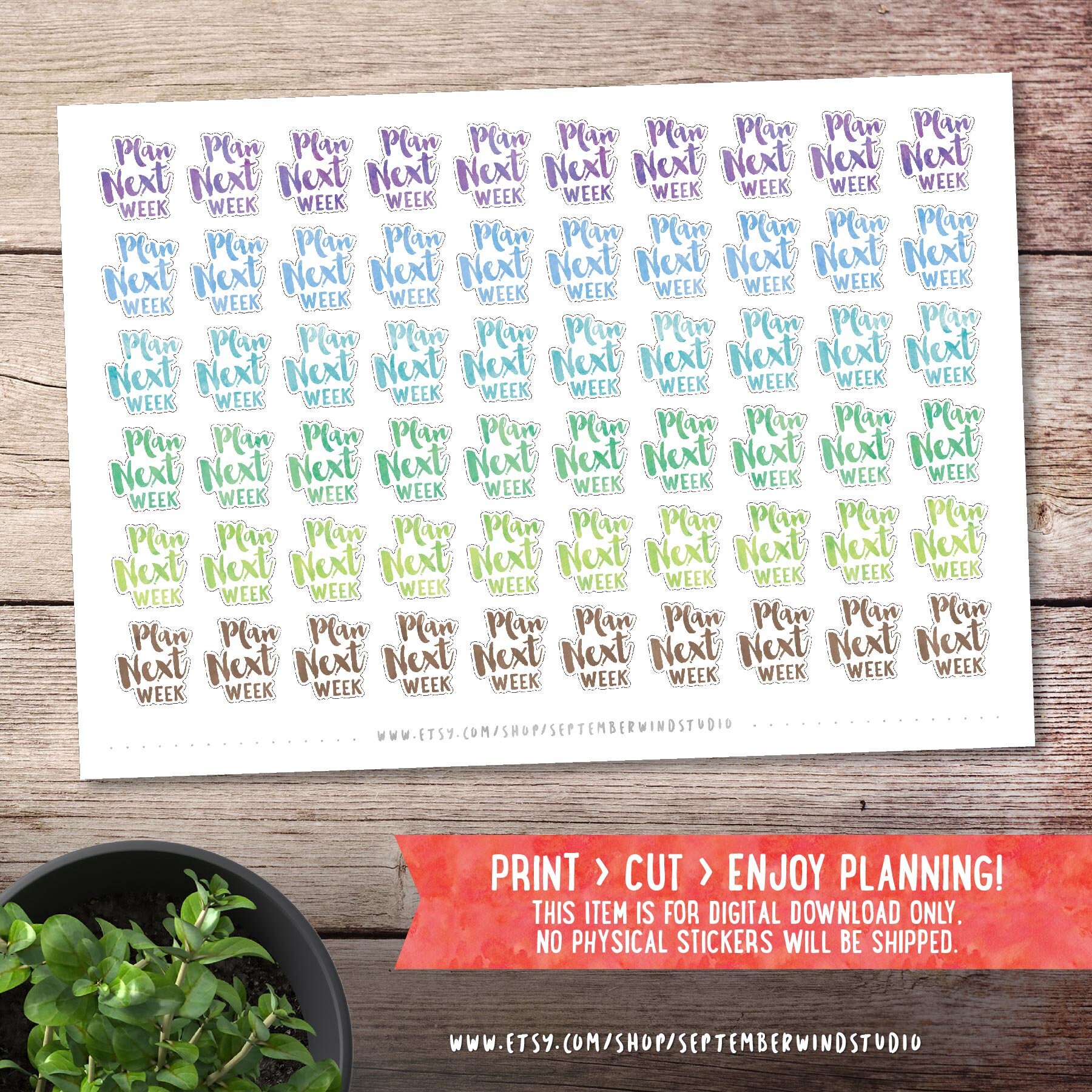 Plan Next Week Printable Planner Stickers Planner Stickers | Etsy