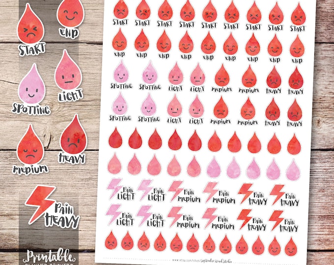 64 Cute Period Tracker Planner Stickers - Etsy