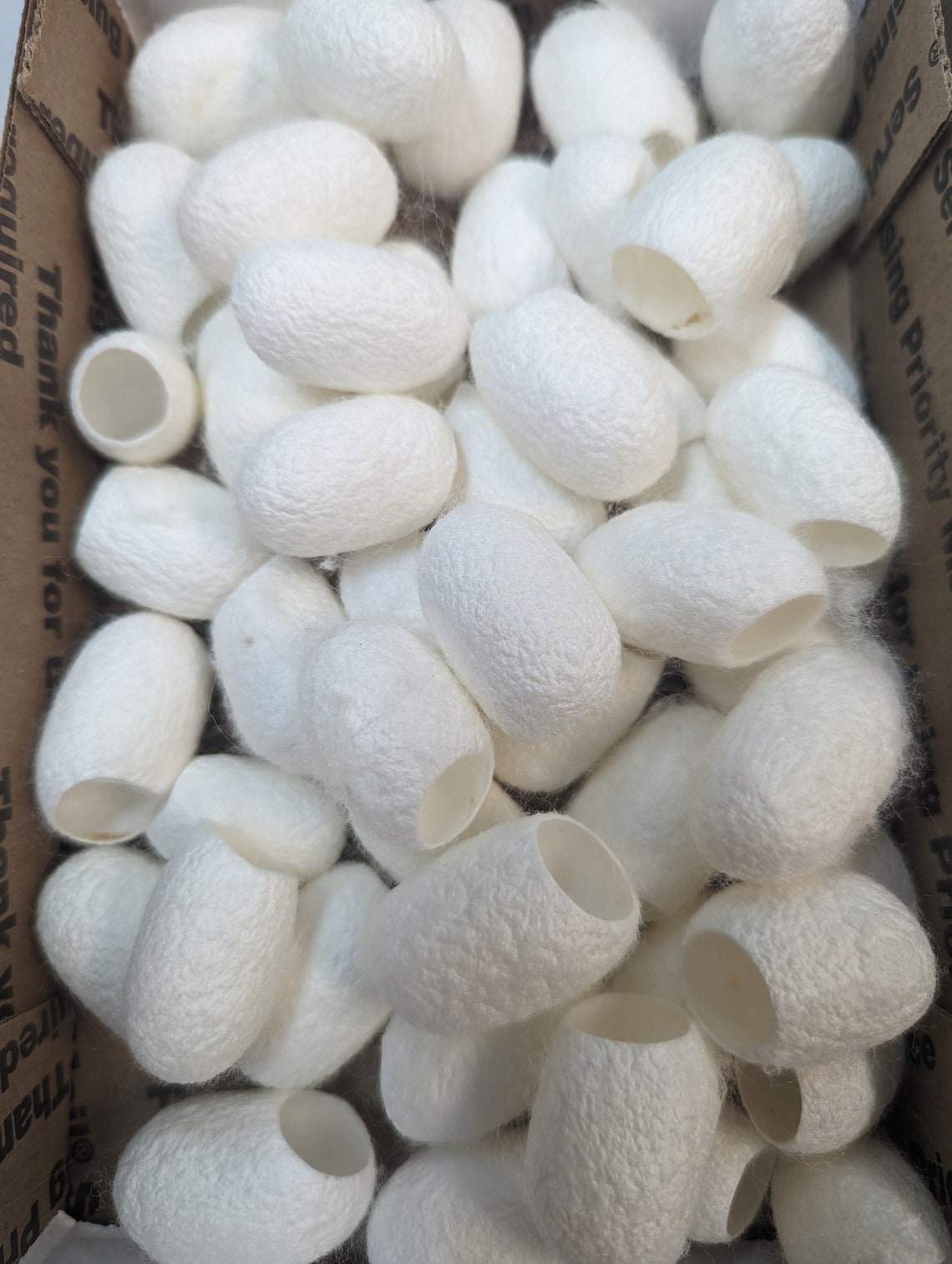 10 Oz Natural Silkworm Cocoon Facial Blackhead Cleanser Silk Scrub - Etsy