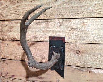 Body Armor Stand Body Armor Display T Stand T-Stand Armor | Etsy