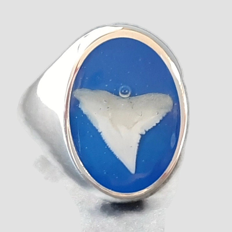 Shark Tooth Ring - Etsy