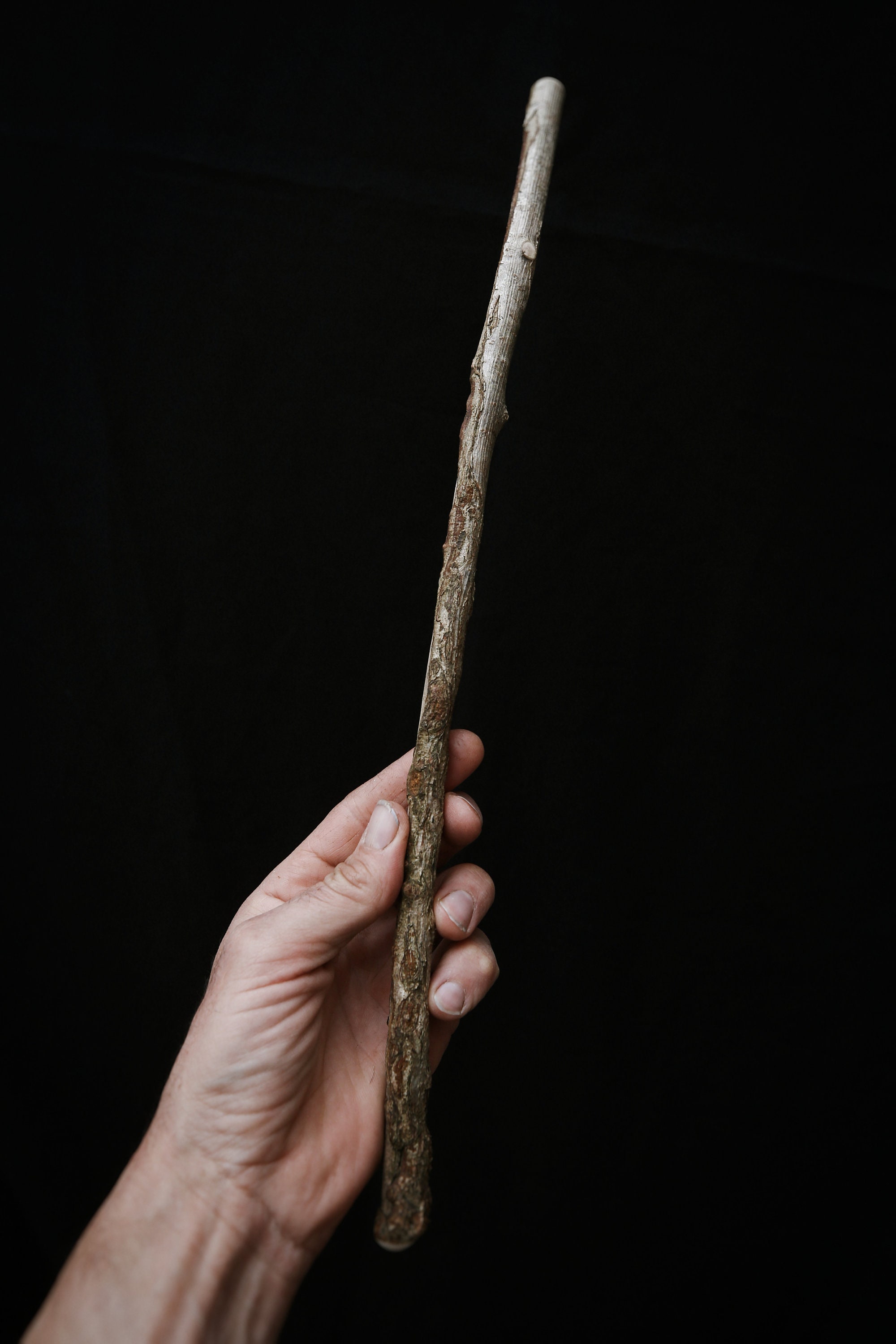 Magic Wand Made of Hazel Wood - Etsy