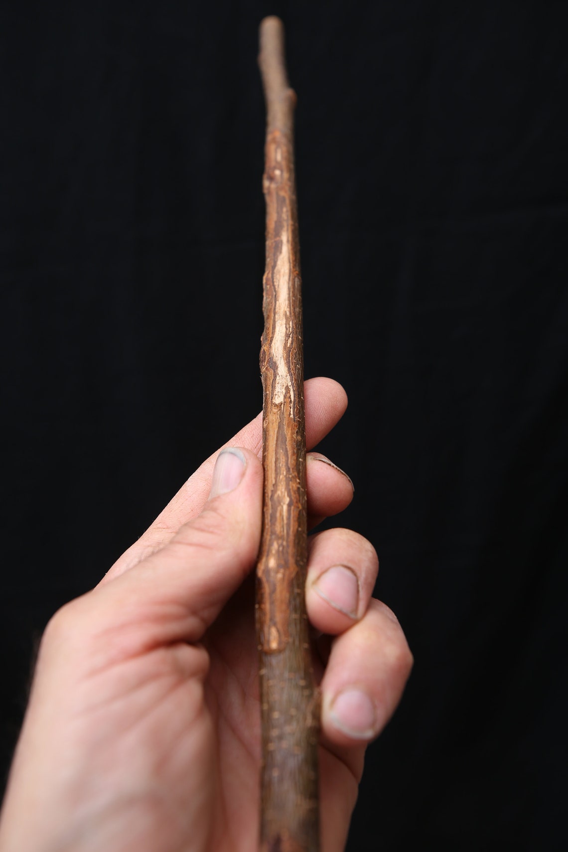 Alder Wood Magic Wand / Alder Wood Magic Wand - Etsy