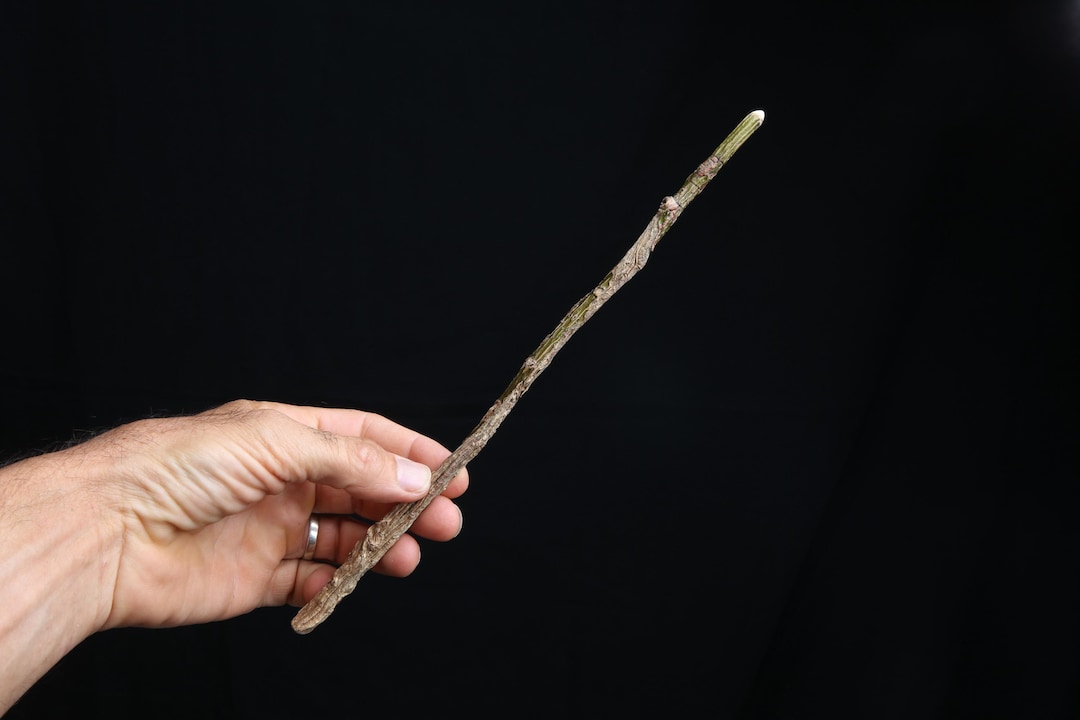 Holly Wood Magic Wand — Handmade Shamanic Wand, Roe Deer Spirit Wand ...