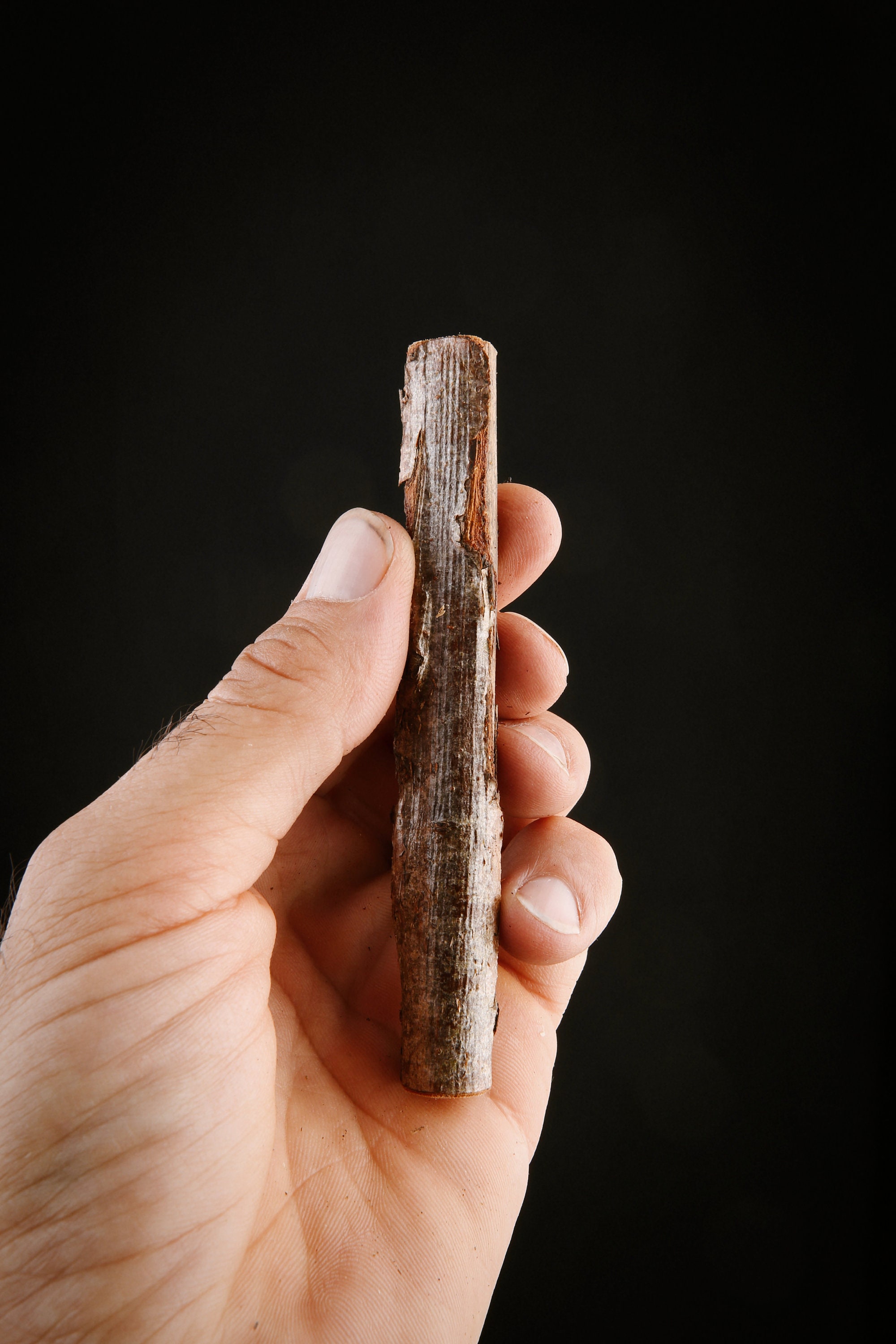 Shamanic Talisman Made of Hazel Wood, Pagan Sacred Ritual Stick - Etsy