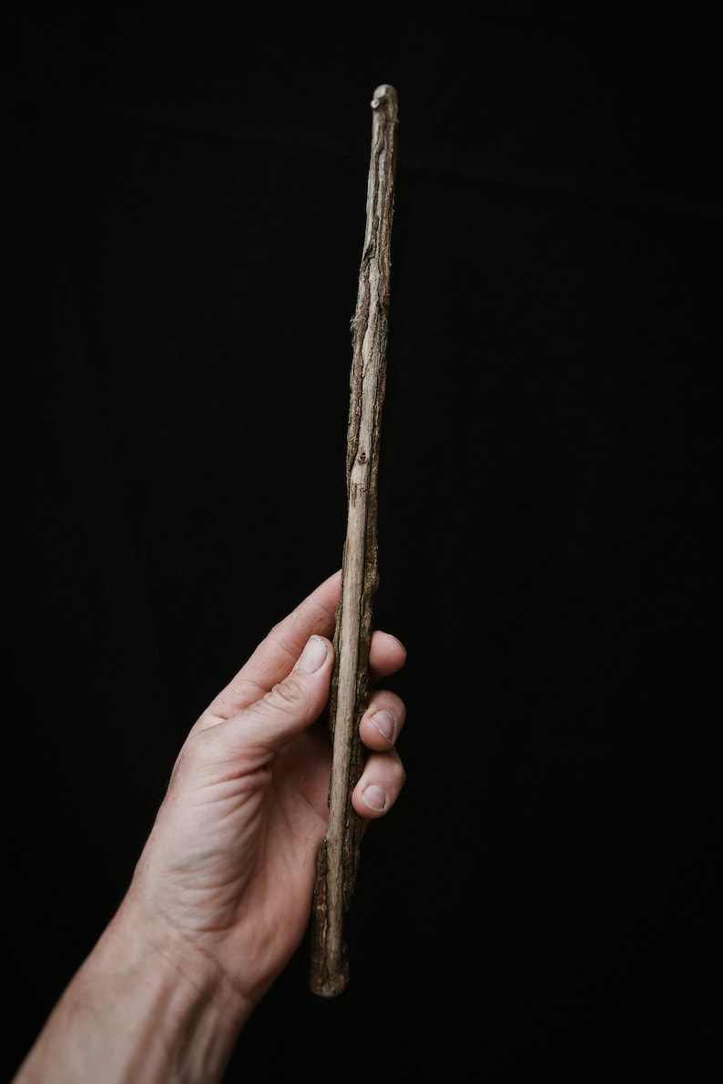 Magic Wand Made of Hazel Wood - Etsy