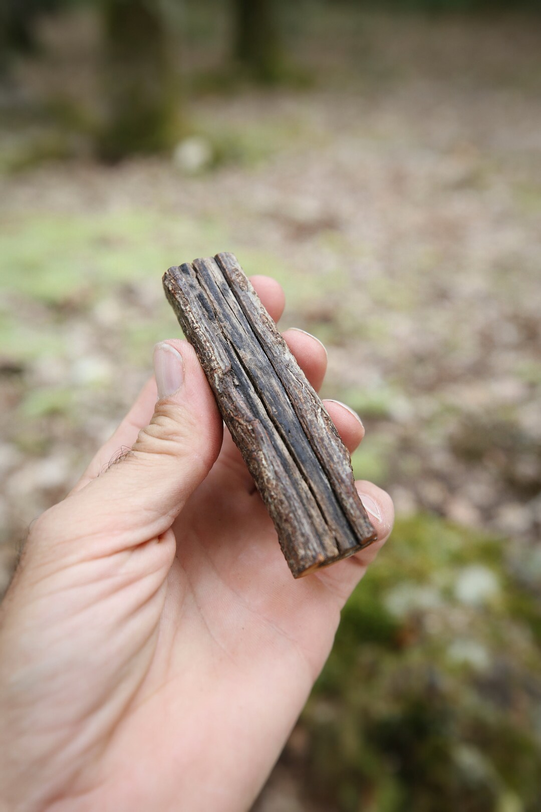 Shamanic Talisman Made of Alisier Wood, Pagan Sacred Ritual Staff - Etsy