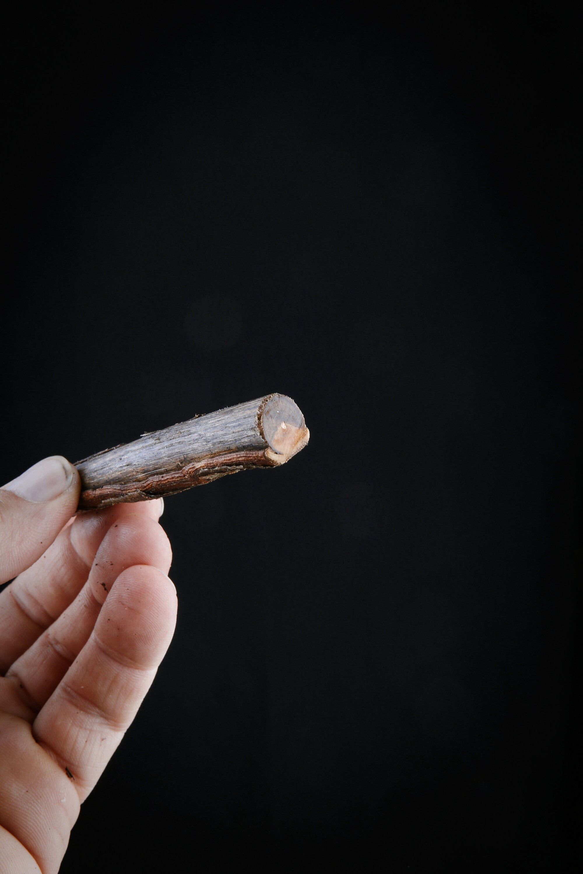 Shamanic Talisman Made of Hazel Wood, Pagan Sacred Ritual Stick - Etsy