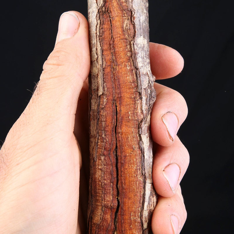 Talking Stick Pagan - Etsy UK